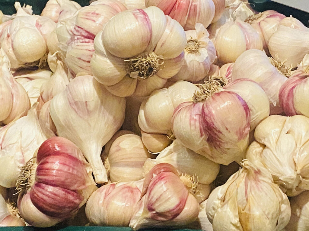 Hier entsteht ein schönes Knobi-Magazin!