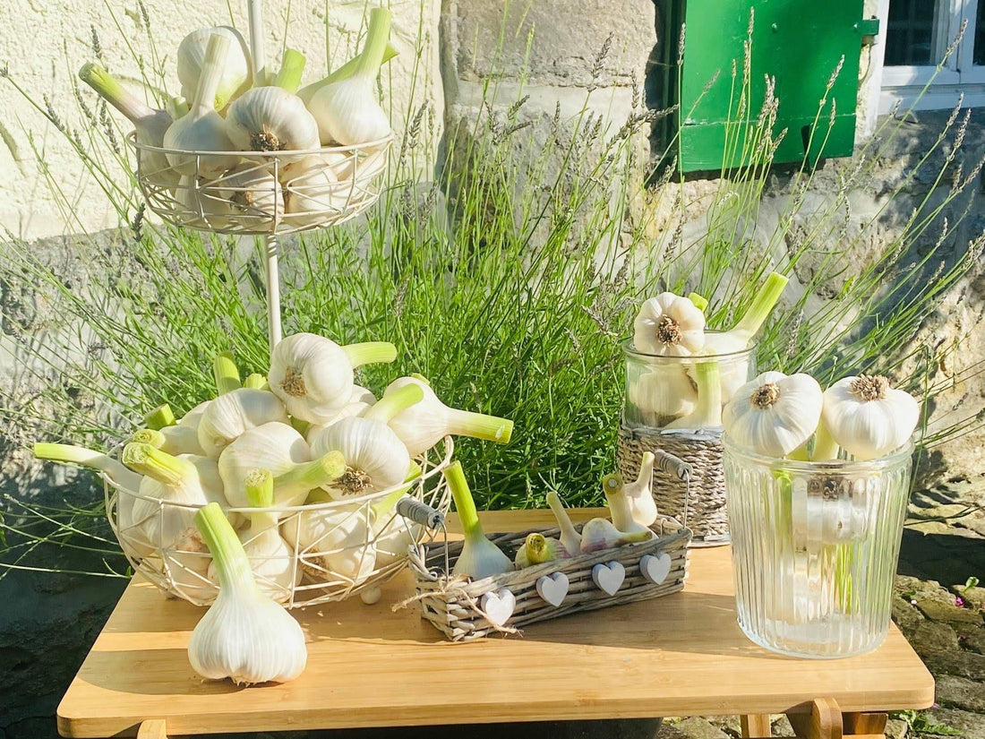 Knobi-Shop - alles selbstgemacht