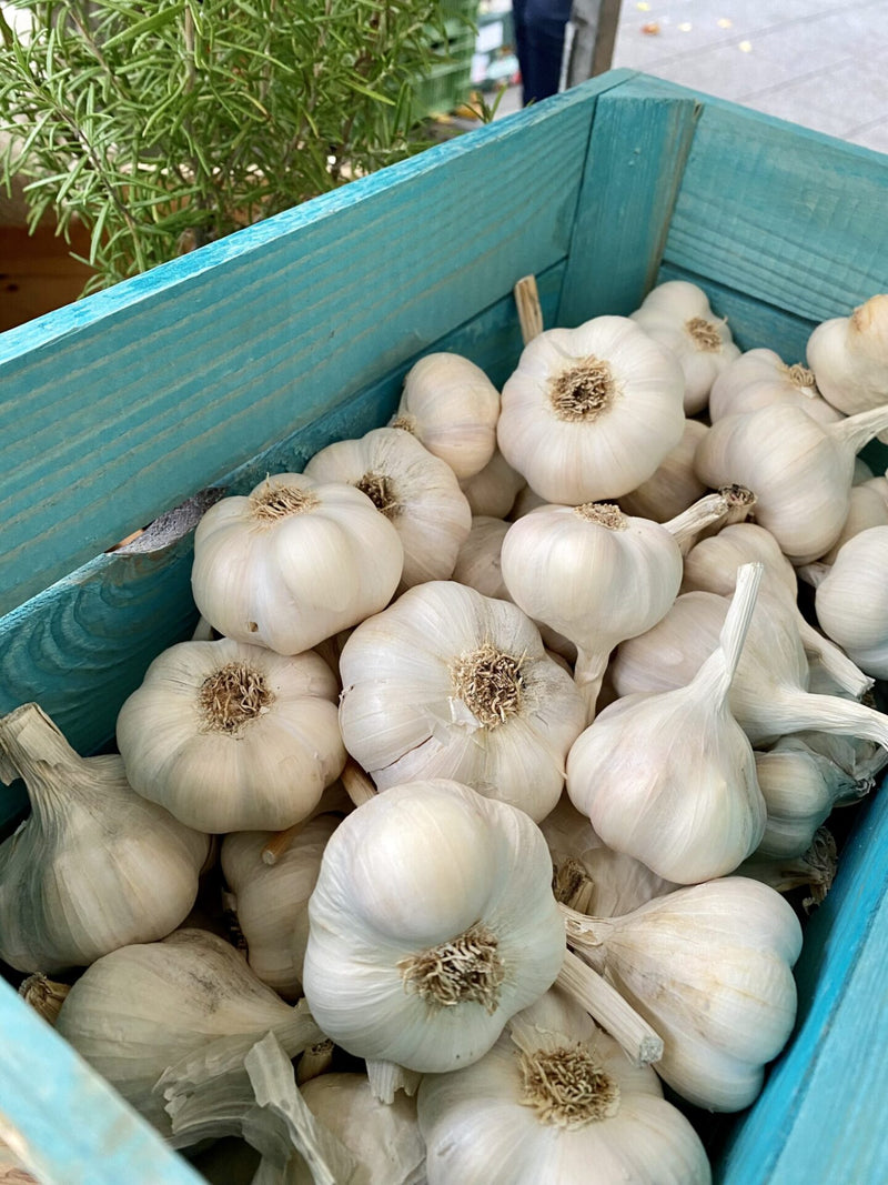 Knobi-Shop - alles selbstgemacht