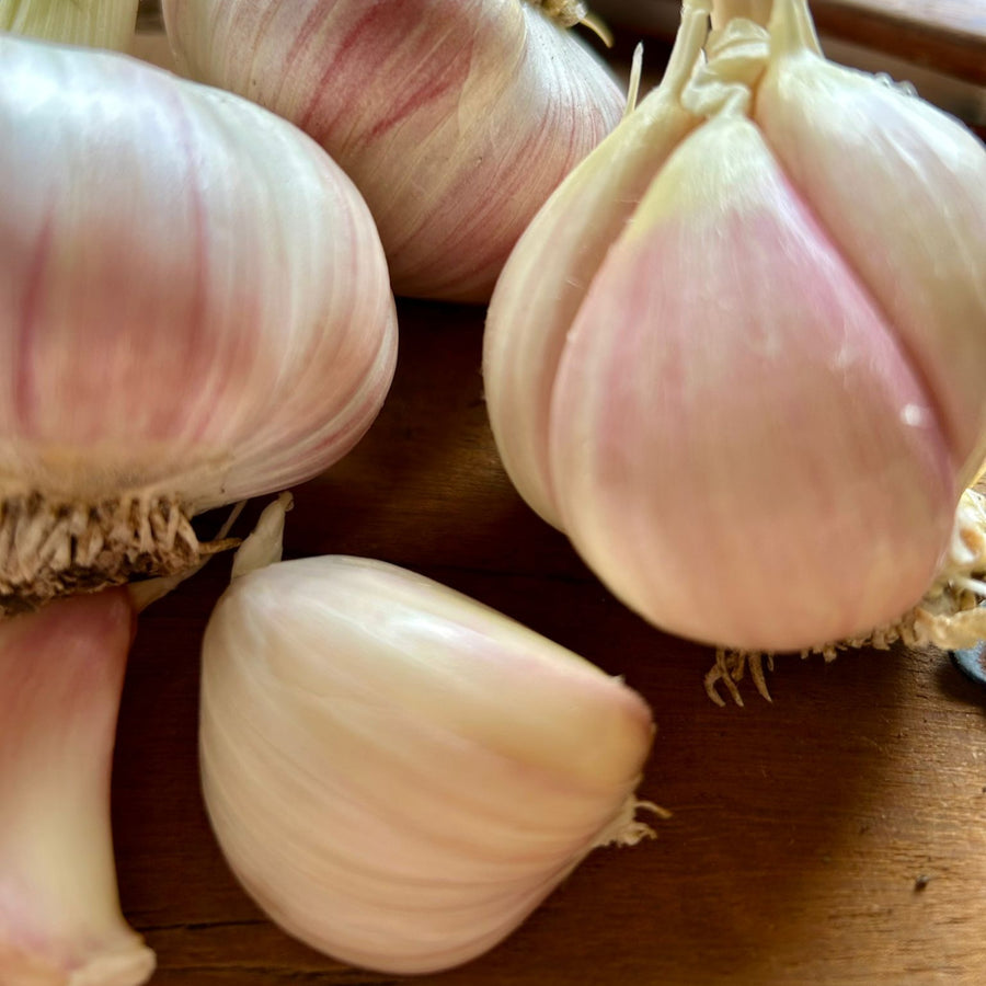 Knobi-Shop - alles selbstgemacht