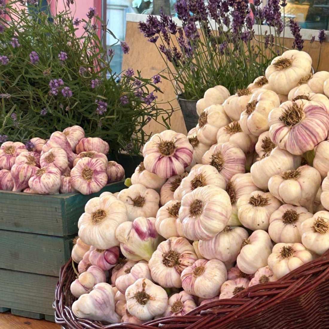 Knobi-Shop - alles selbstgemacht